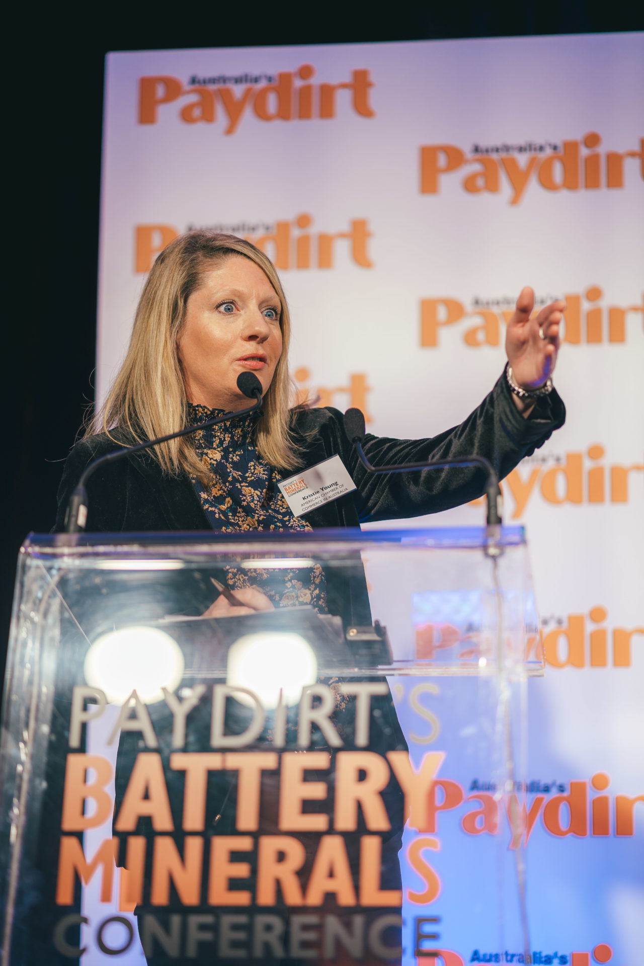 Homepage | Battery Minerals Conference