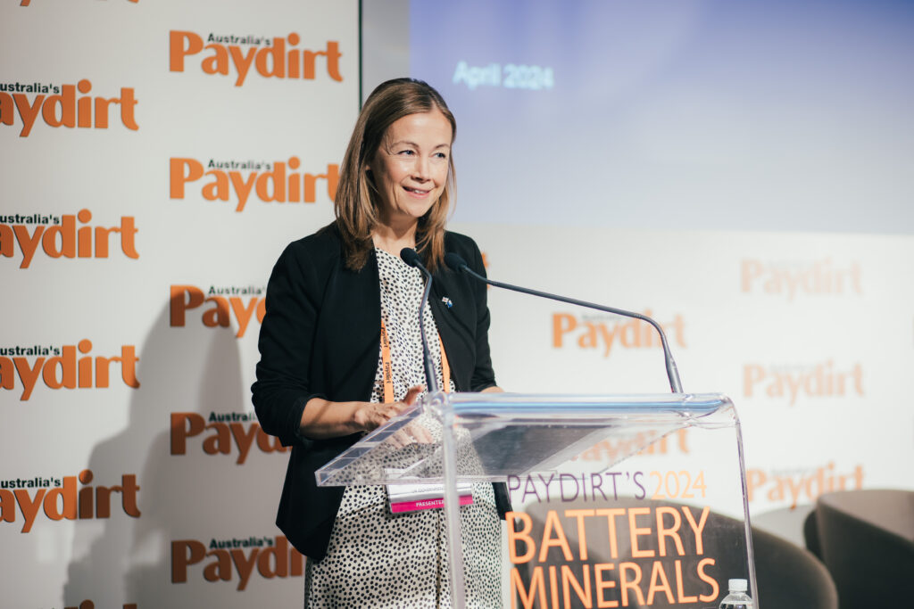 Gallery | Battery Minerals Conference